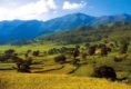10 Interesting Facts About Araku Valley, Andhra Pradesh - World Blaze