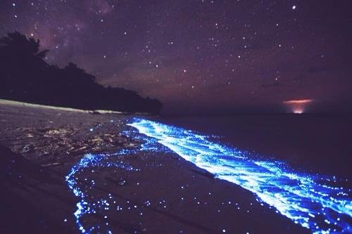 15 Awesome Things about Nature You Won't Believe - World Blaze