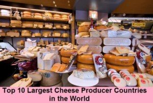 Top 10 Largest Cheese Producer Countries in the World - World Blaze