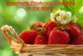 Top 10 Largest Strawberry Producing Countries in the World - World Blaze